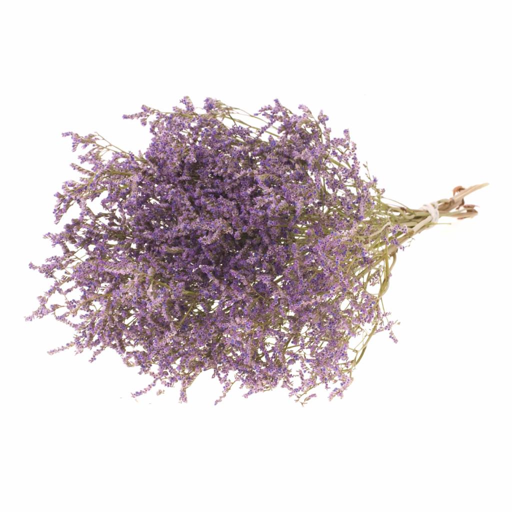 Dried Statice Tatarica Natural Purple – House of Avila
